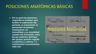 posiciones mas usadas en examenes y tratamientos | PPTX