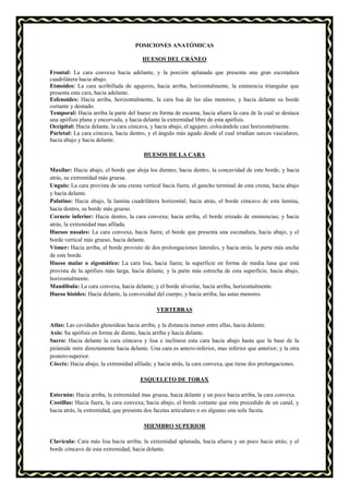 Posiciones anatómicas | PDF