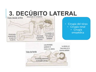 posiciones anatómicas diapositivas finales.pptx