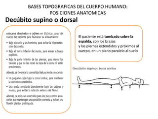 Posiciones anatomicas | PPTX