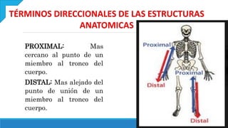 POSICIONES ANATOMICAS 2023.pdf