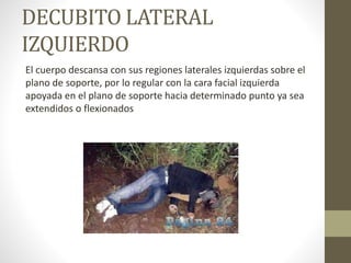 Posiciones_Cadavericas.pptx