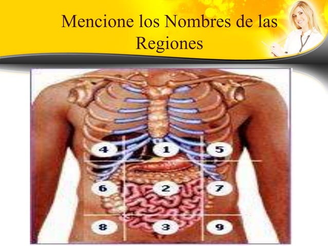 Posiciones, planos, regiones y cavidades anatomicas (1).pptx