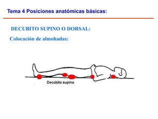 Posiciones anatomicas basicas enfermeria | PPT