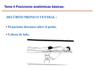 Posiciones anatomicas basicas enfermeria | PPT
