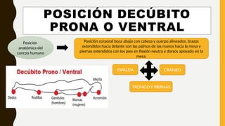 POSICIONES QUIRURGICAS - CENTRO QUIRÚRGICO | PPTX