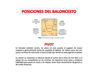 Posiciones y medidas de la cancha de baloncesto | PPTX