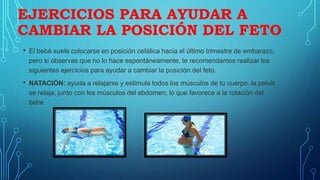 POSICION Y SITUACION DEL FETO DE LA CARRERA DE ENFERMERIA.pptx
