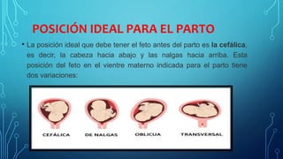 POSICION Y SITUACION DEL FETO DE LA CARRERA DE ENFERMERIA.pptx