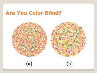 Colors and Theory of Knowledge | PPTX
