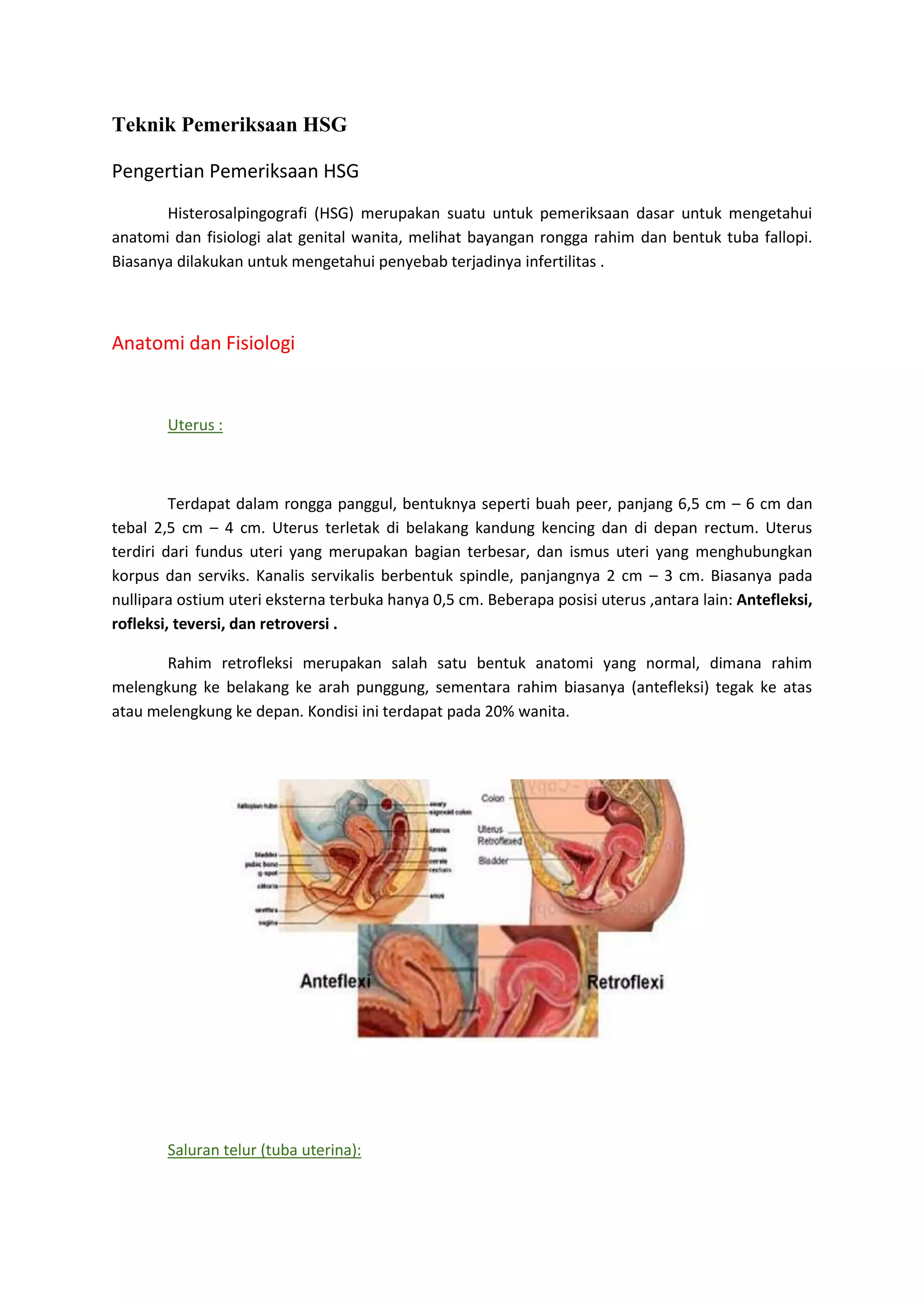 Posisi uterus | DOCX