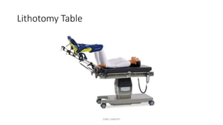 position anatomicomedical terminologies.pptx