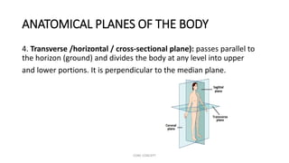 position anatomicomedical terminologies.pptx