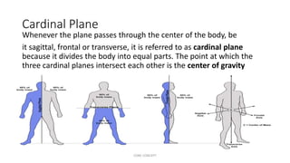 position anatomicomedical terminologies.pptx