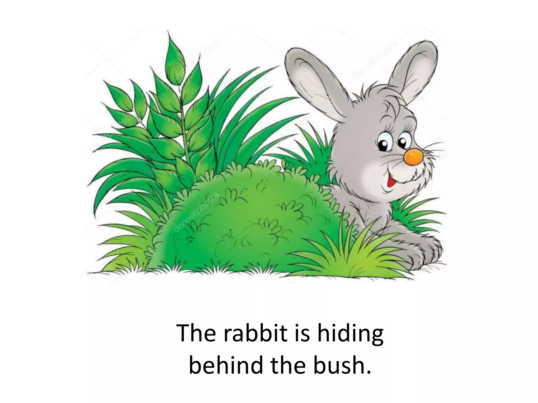 Position and reference point | PPTX