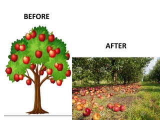 Position and reference point | PPTX