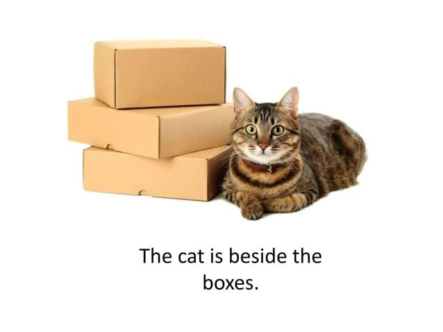 Position and reference point | PPTX