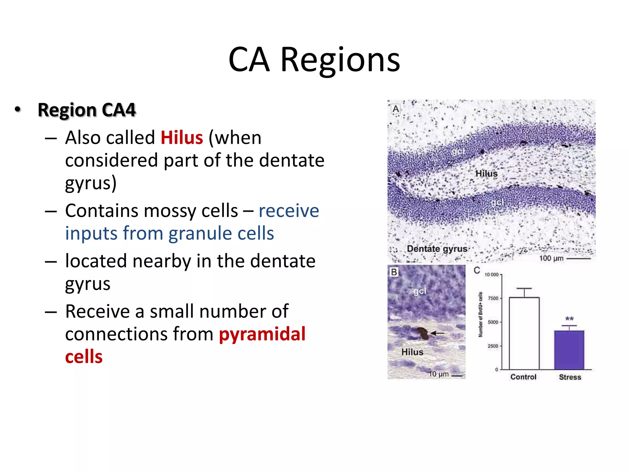 Positionig system of the brain(noble prize in medicine 2014) | PPTX