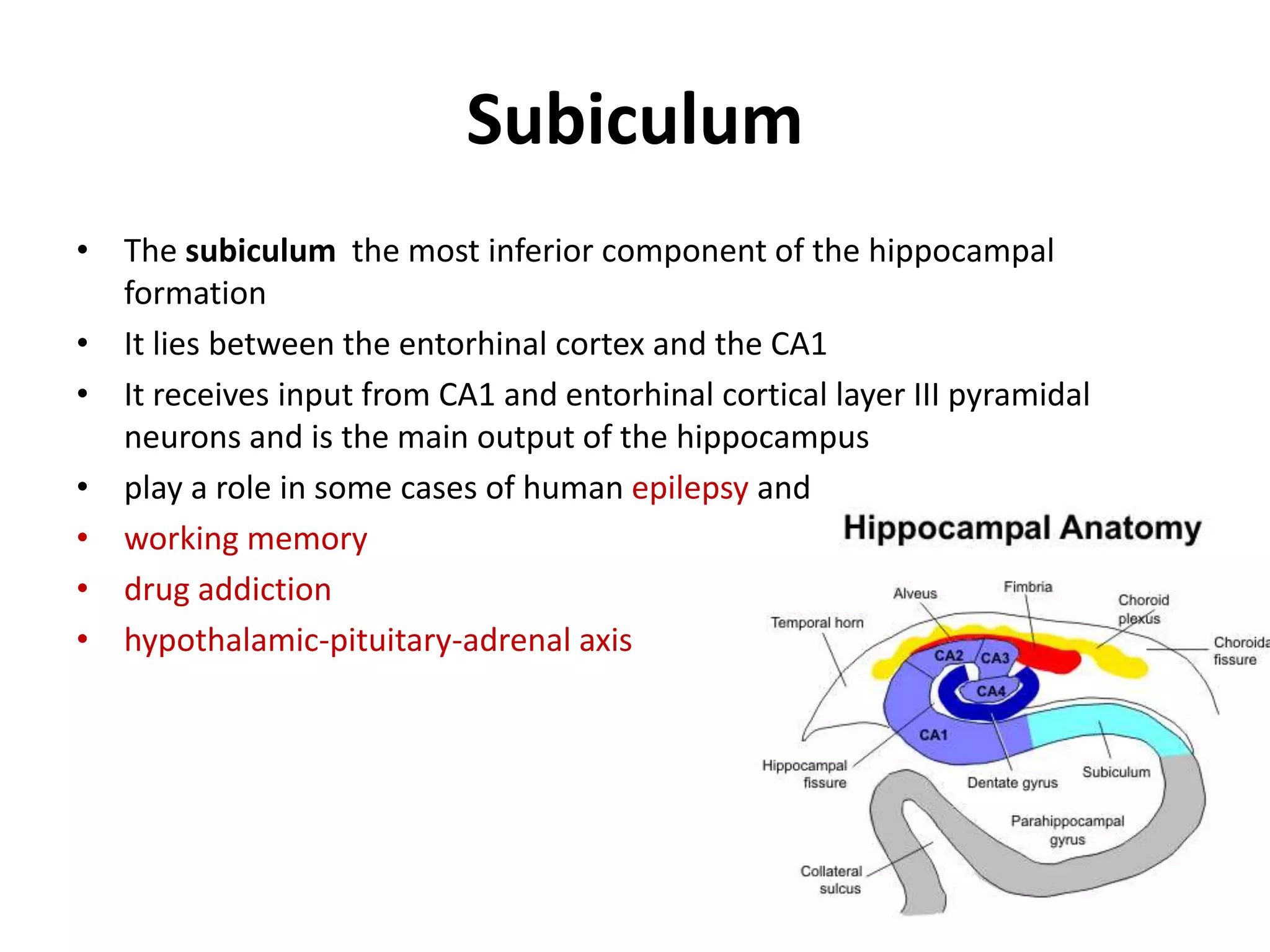 Positionig system of the brain(noble prize in medicine 2014) | PPTX