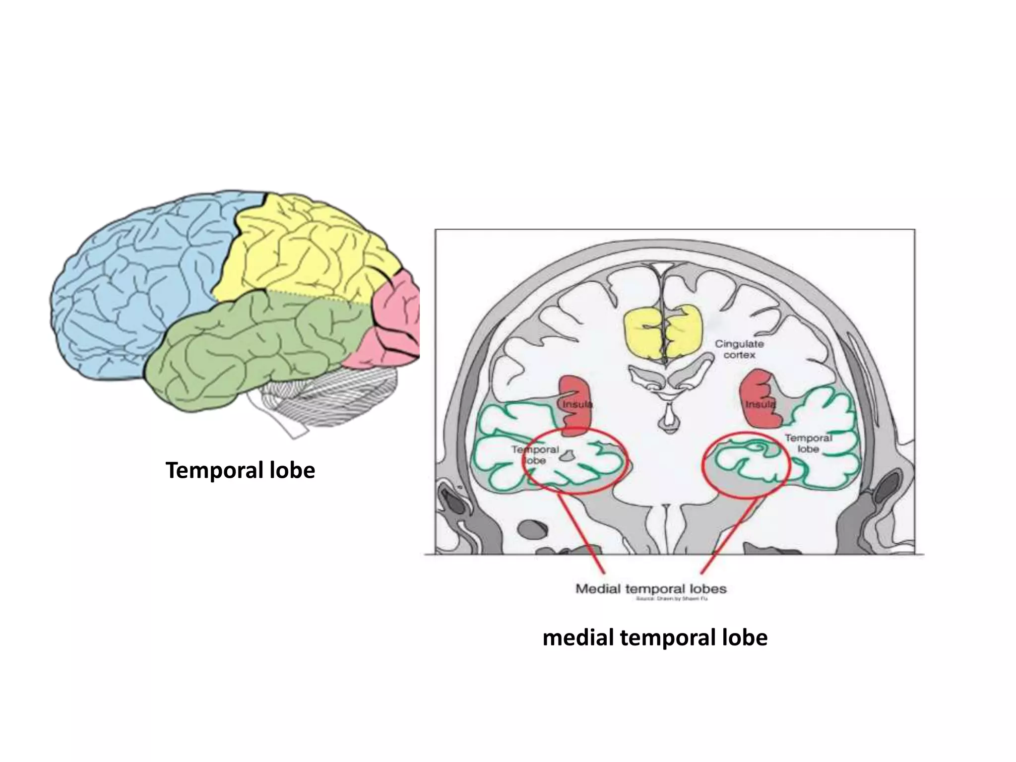 Positionig system of the brain(noble prize in medicine 2014) | PPTX