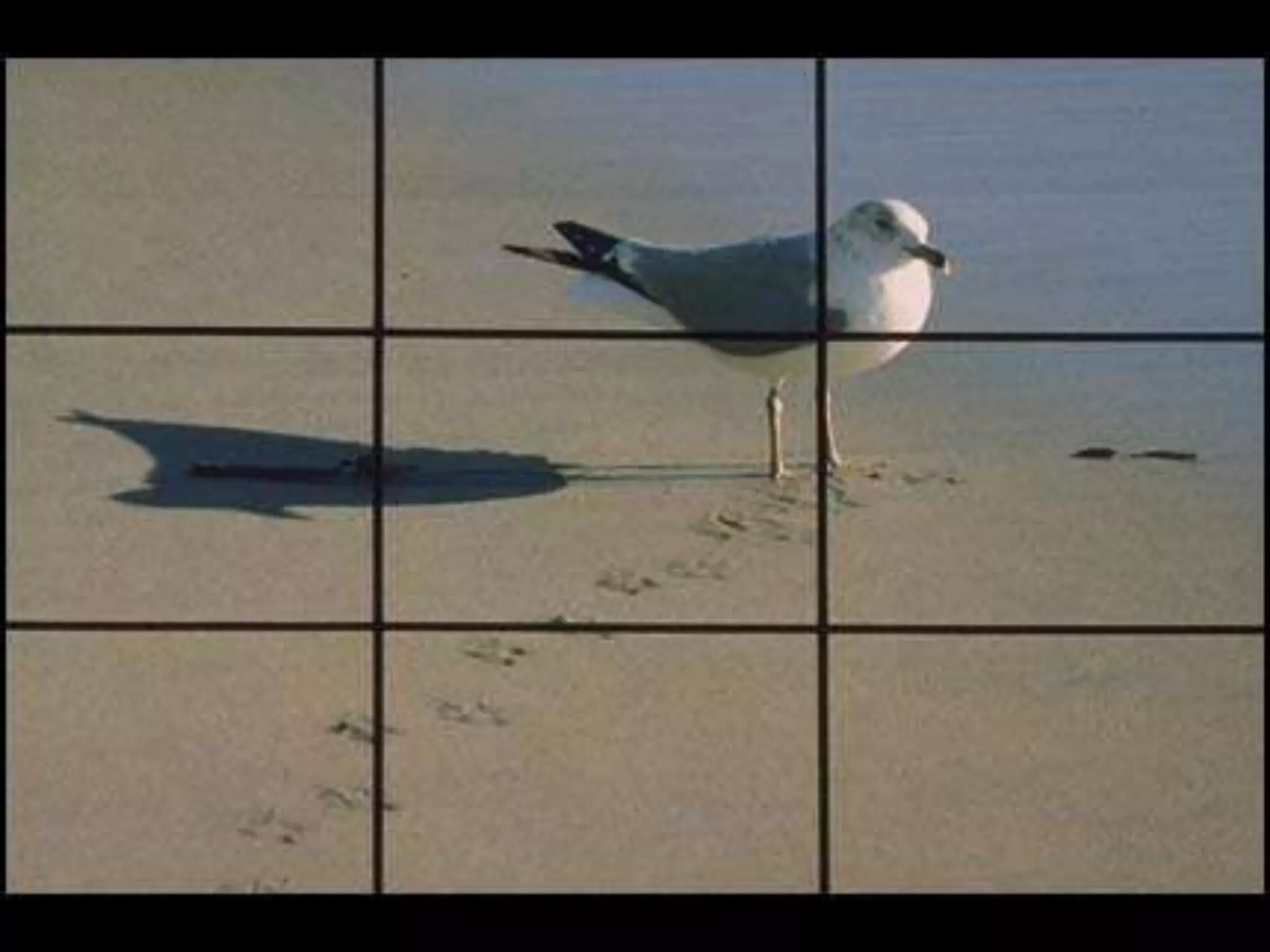 Positioning- Photographic Composition | PPTX