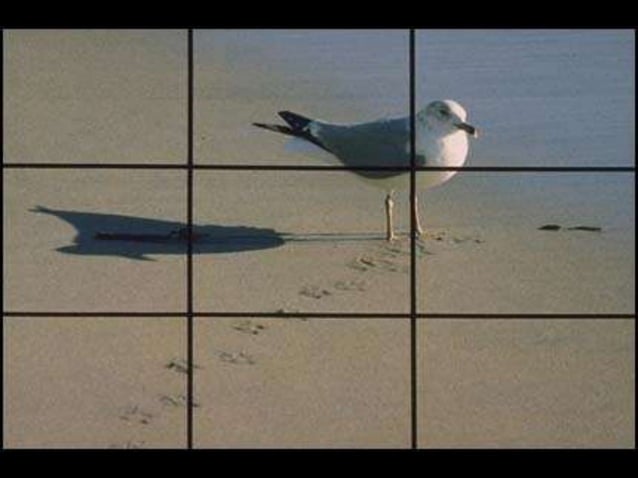 Positioning- Photographic Composition | PPTX