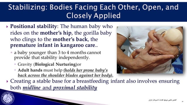 Positioning and latch on in preterm infants dr ravari | PPT