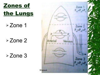 Positioning And Mobilization | PPT