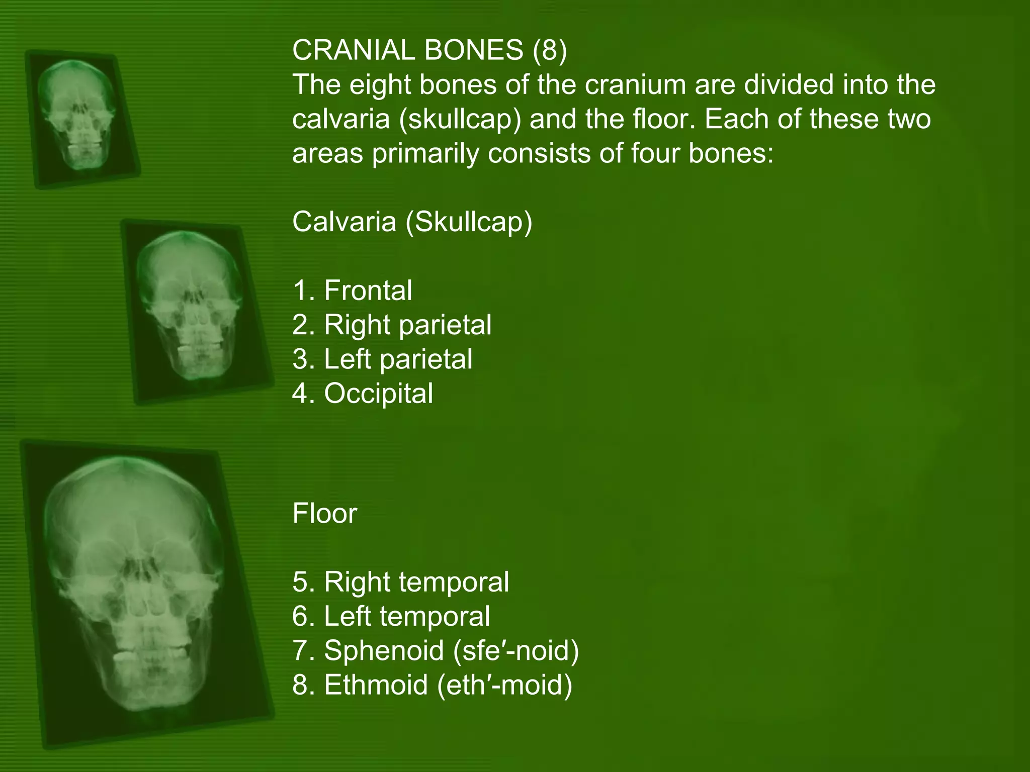 Positioning and radiographic anatomy of the skull | PPT