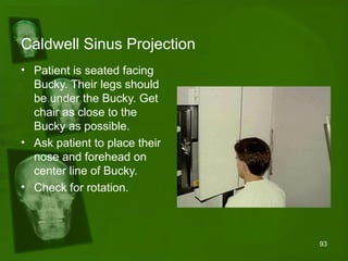 Positioning and radiographic anatomy of the skull | PPT