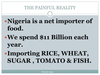 Positioning nigeria as a global power house in agriculture by sotonye ...