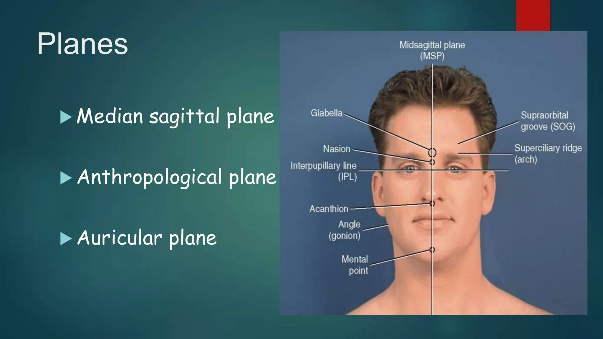 Positioning of skull | PPTX