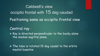 Positioning of skull | PPTX