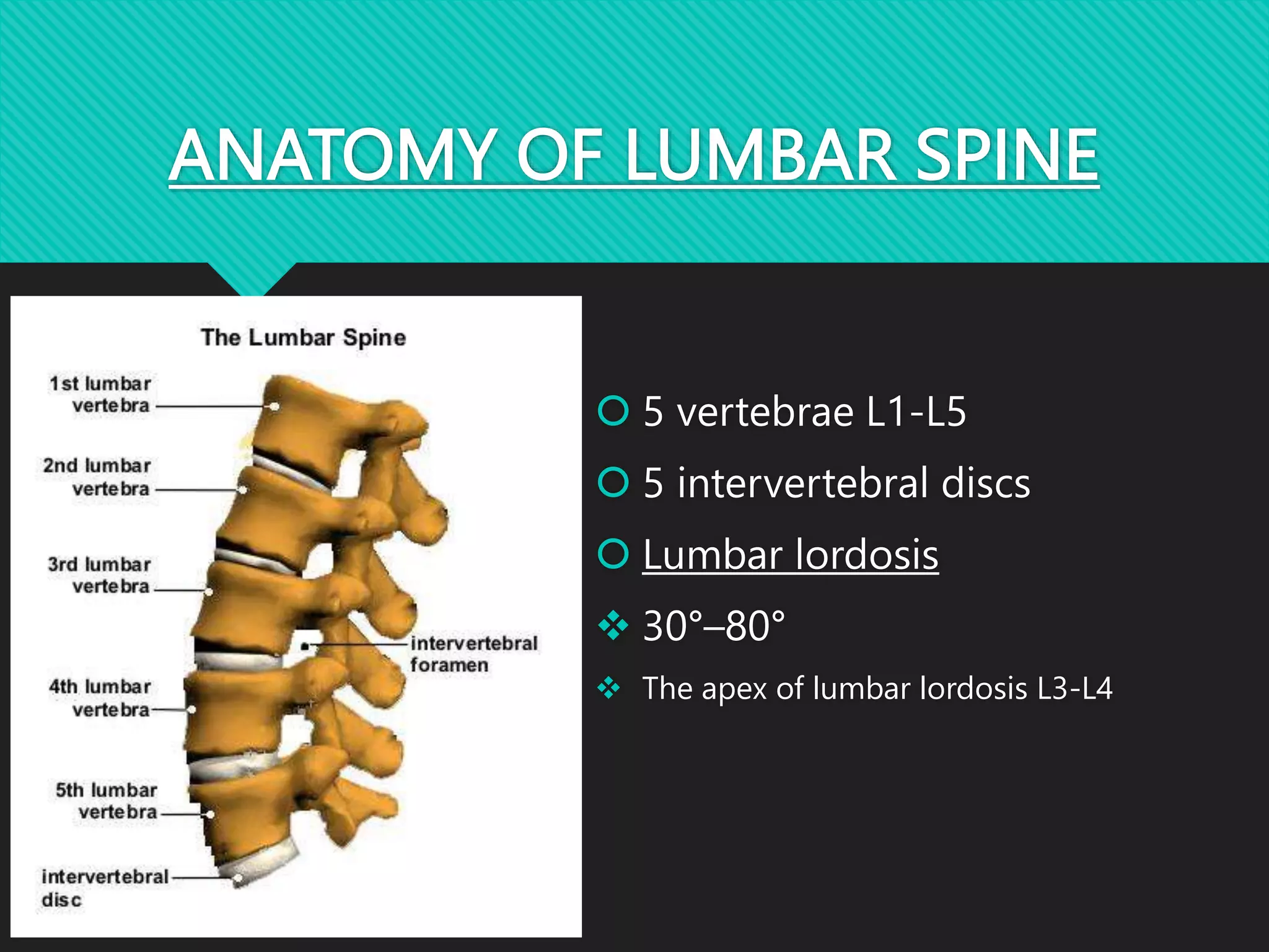 RADIOGRAPHY OF SPINE .pptx