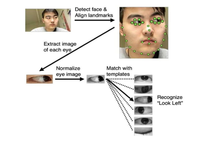 Positioning, pointing and drawing in Human computer Interaction | PPTX