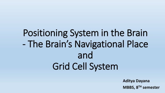 Positioning system in the brain the brain’s navigational place ...