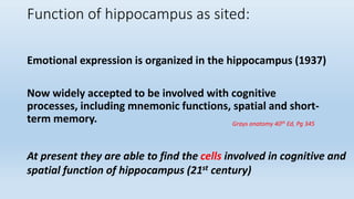 Positioning system in the brain the brain’s navigational place ...