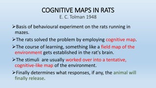 Positioning system in the brain the brain’s navigational place ...