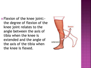 Positioning terminology of lower limbs | PPTX