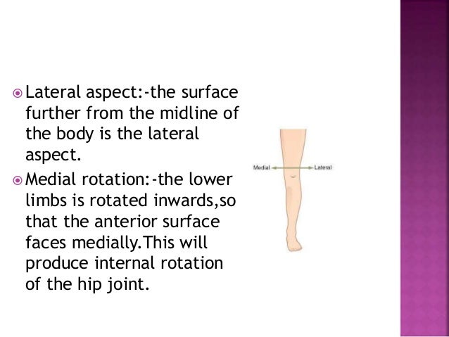 Positioning terminology of lower limbs