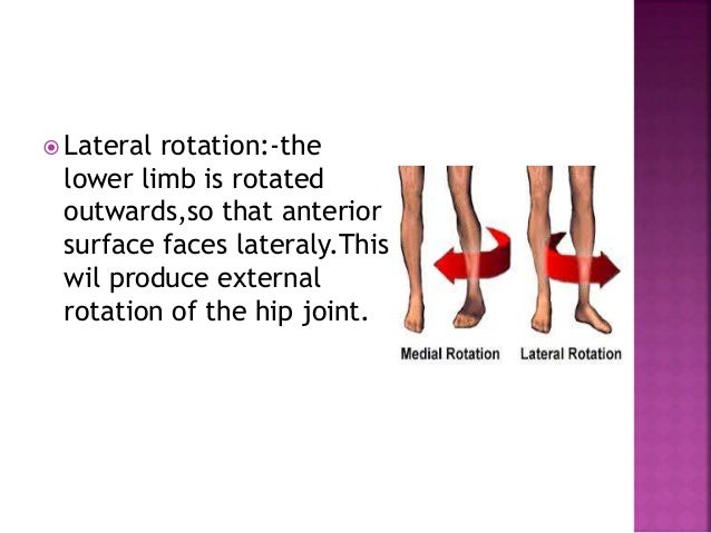 Positioning terminology of lower limbs