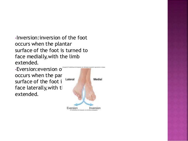 Positioning terminology of lower limbs