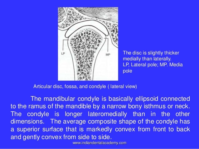 Position of condyle in cl ii & iii /certified fixed orthodontic cours…
