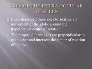 Position of gaze and axes | PPTX
