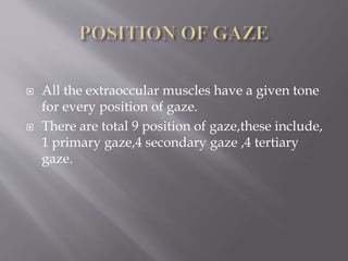 Position of gaze and axes | PPTX