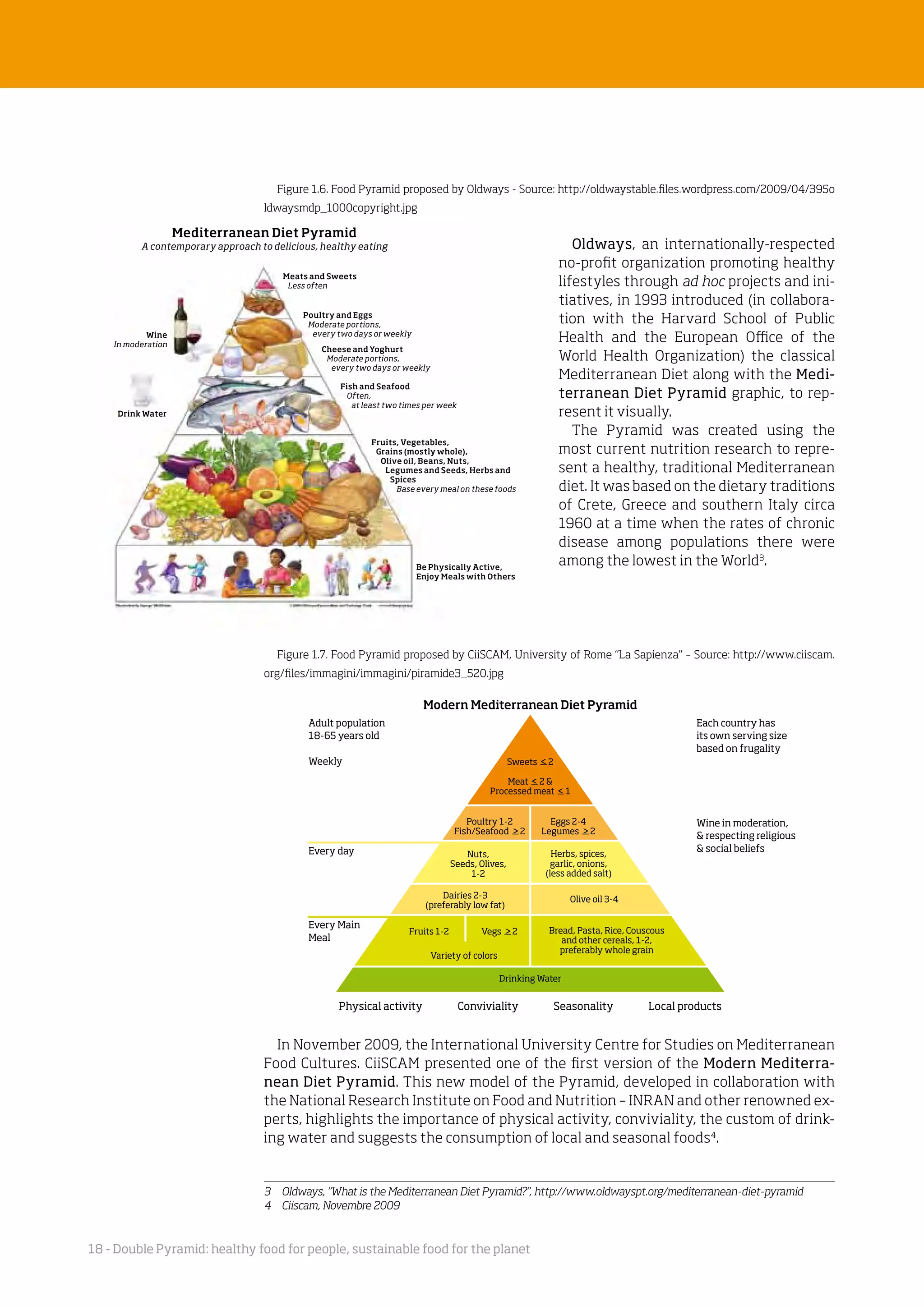 Position paper Double Pyramid: healty food for people, sustainable food ...