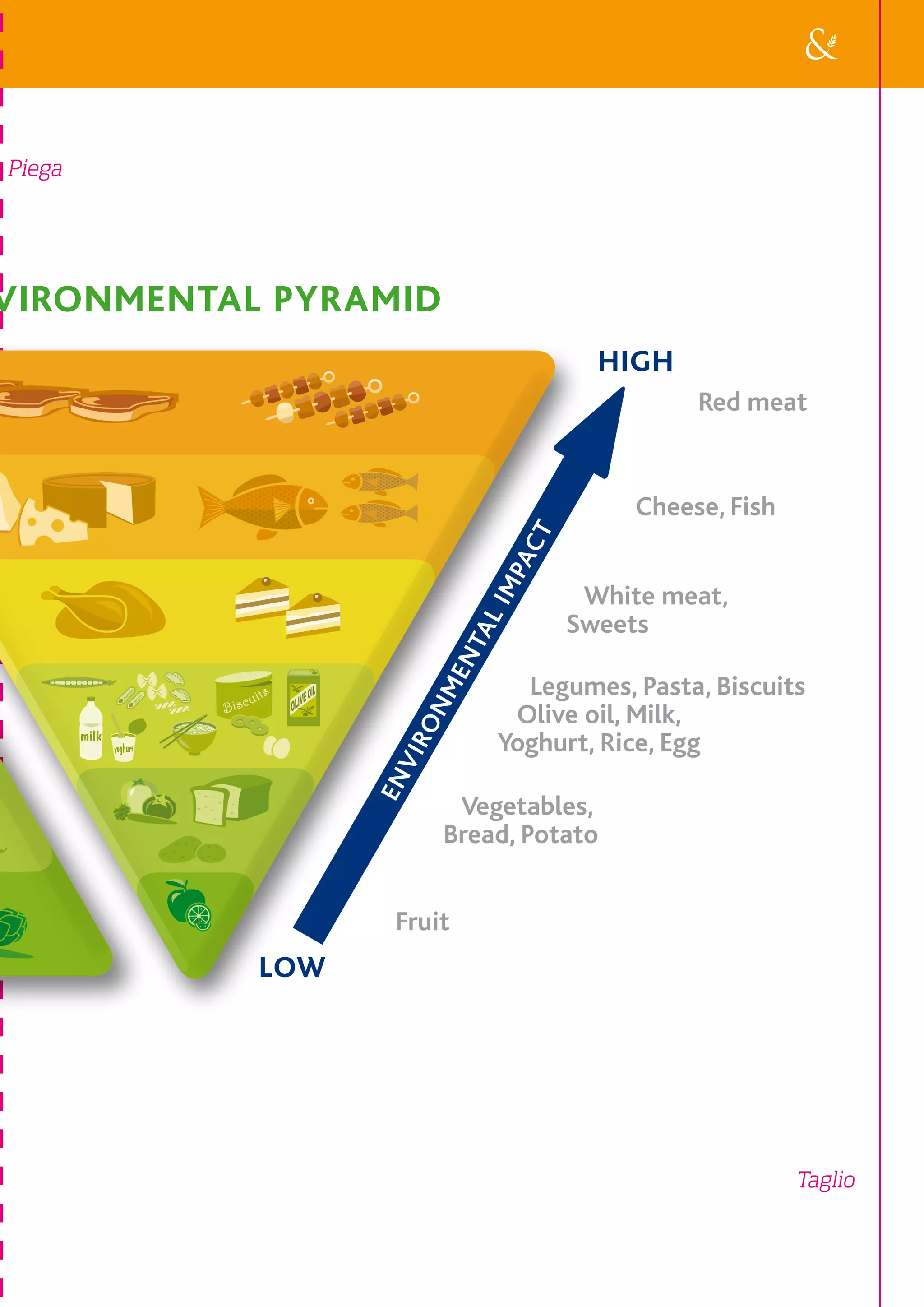 Position paper Double Pyramid: healty food for people, sustainable food ...