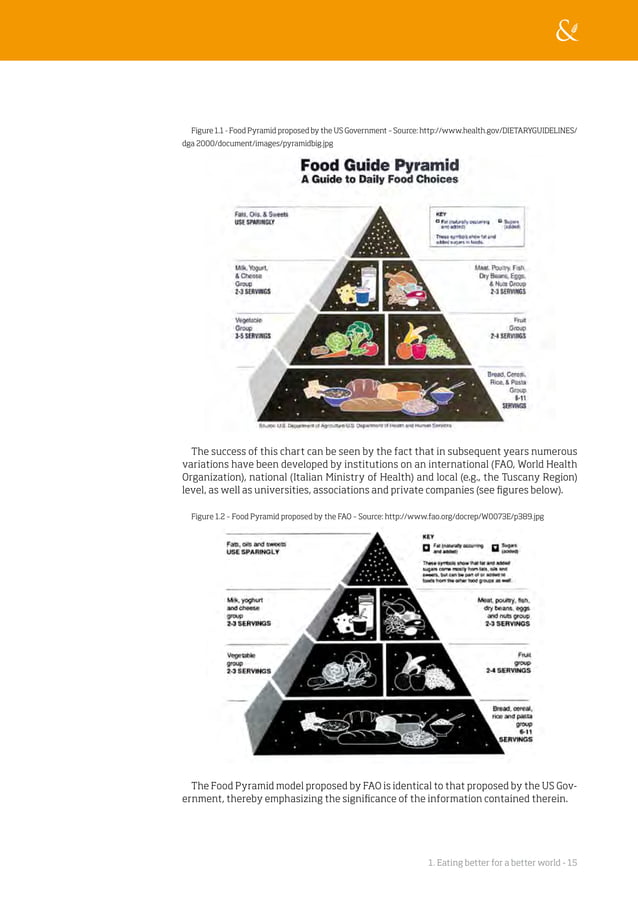 Position paper Double Pyramid: healty food for people, sustainable food ...