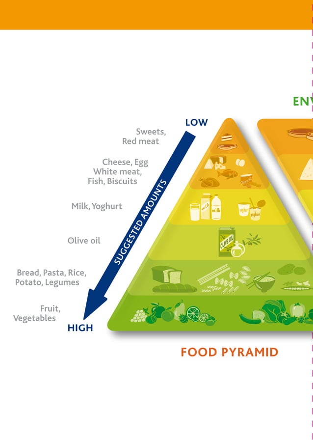 Position paper Double Pyramid: healty food for people, sustainable food ...