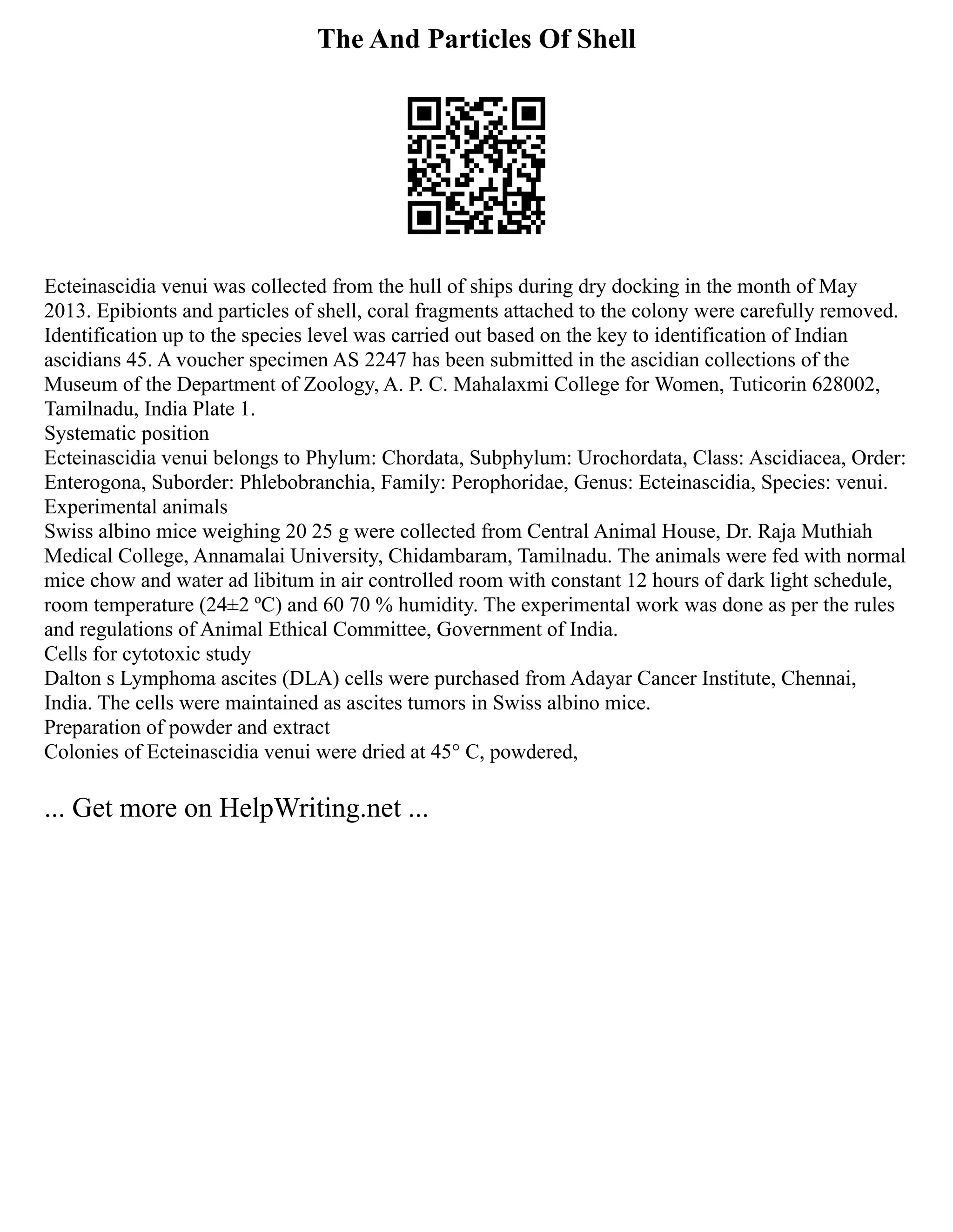 Position Paper Examples - IMAGESEE | PDF